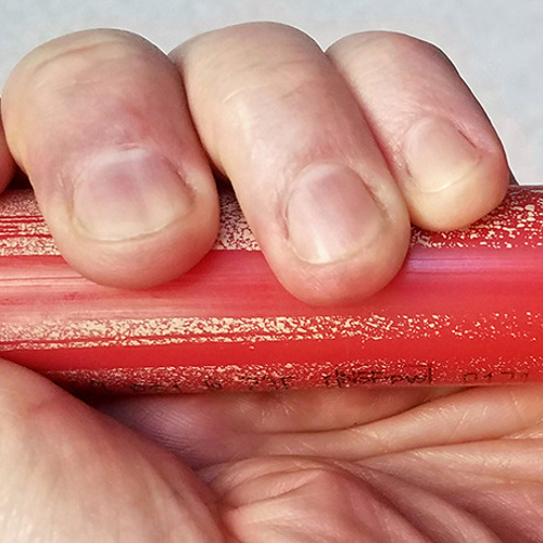 Is Chlorine Corroding Your Pipes? A Guide for Home Builders